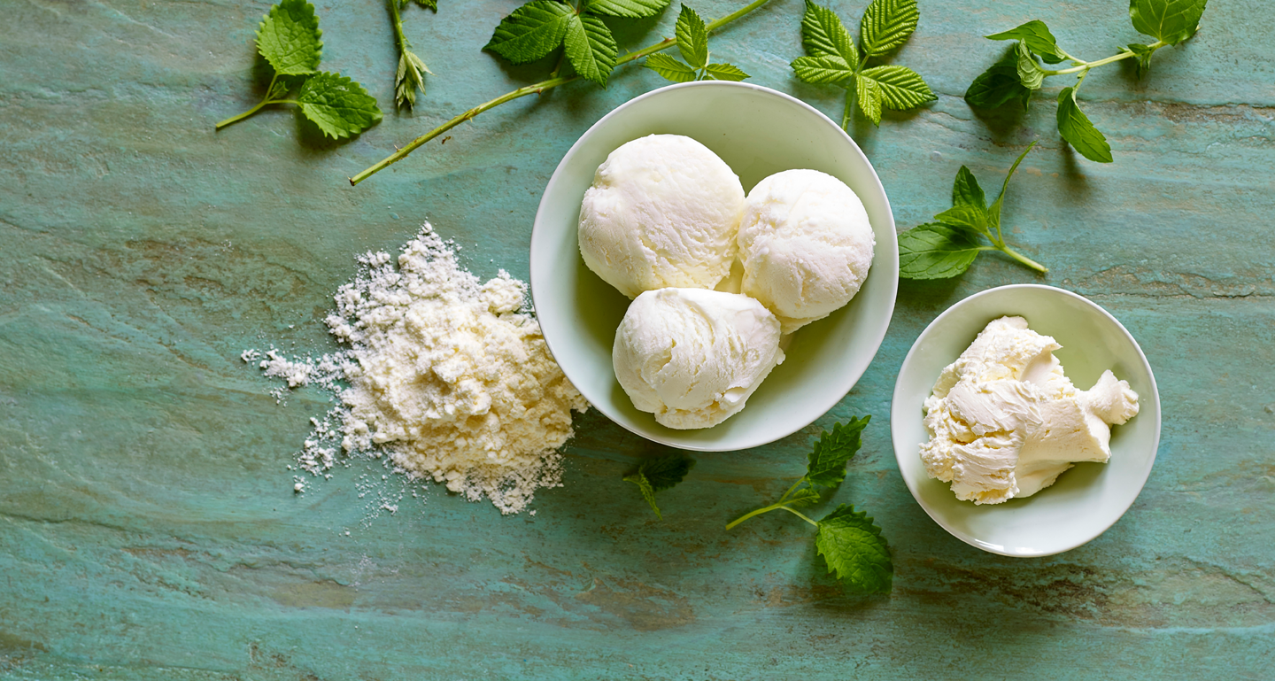 Innovative Cheese Powder Solutions from Lactosan A/S