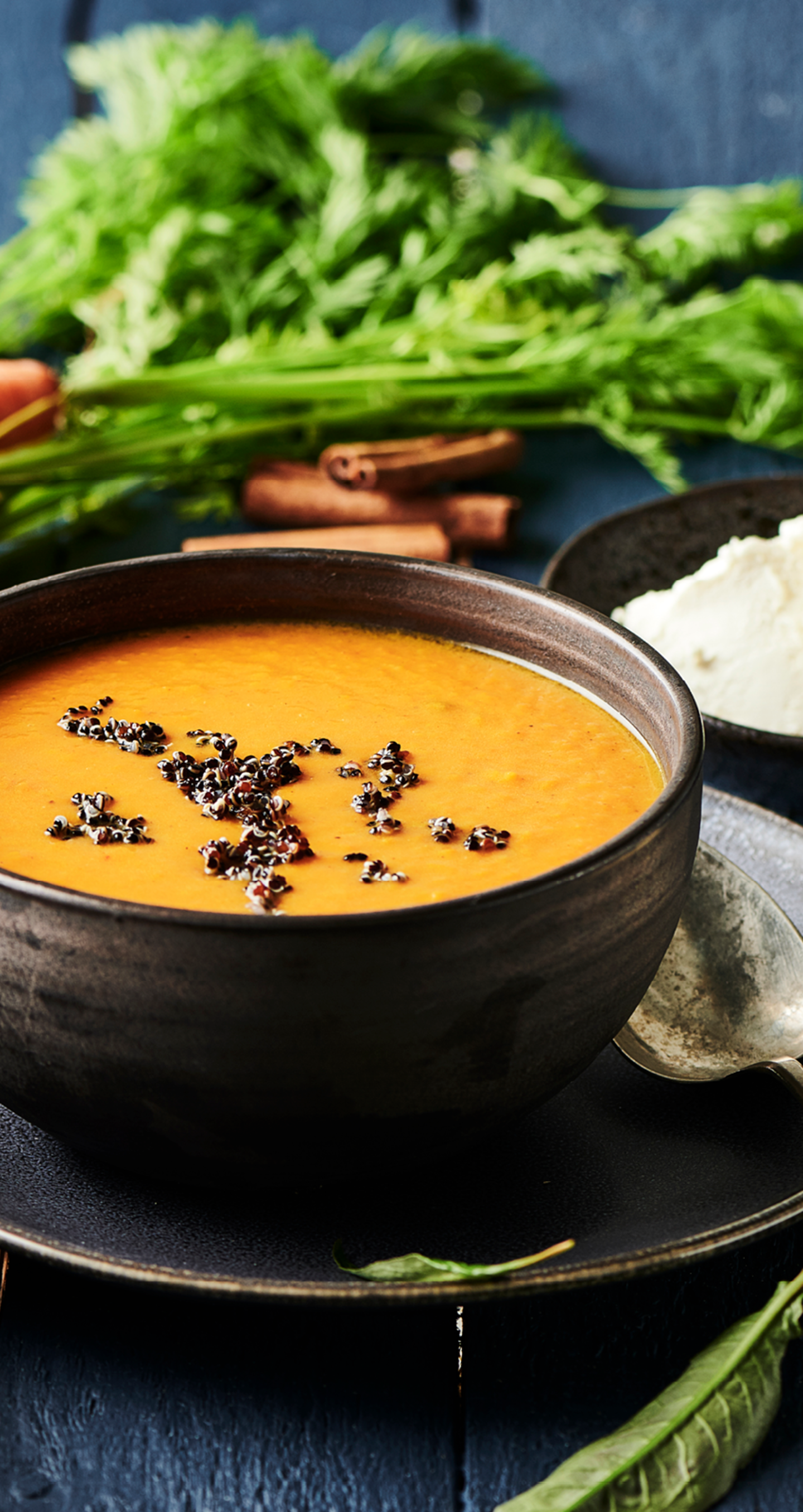 Innovate with Lactosan Cheese Powders